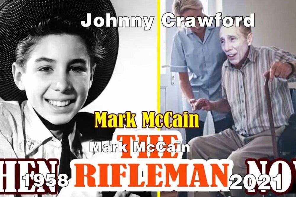 Child stars of the 1950s-1970s: what happened to them? - Flourstech